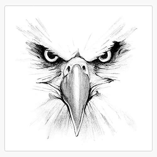 Amazon.com - Patriotic American Bald Eagle Ripping Decal/Sticker ...