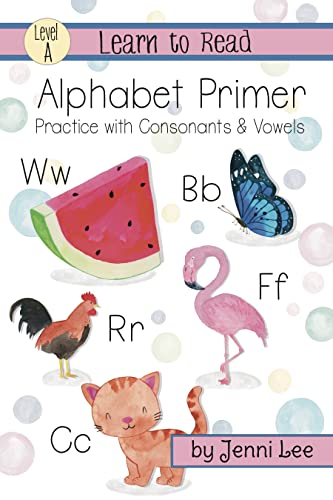 Alphabet Primer Practice with Consonants & Vowels: A Learn to Read ...