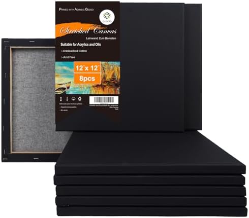 Amazon.com: Ctosree 2 Pack Stretched Canvas for Painting, Large Black ...