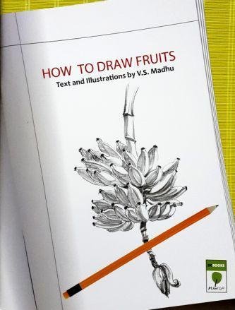 How to Draw Fruits: Madhu V S: 9788126463671: Amazon.com: Books