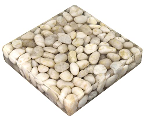 Jellyfish Paperweight | Home decor for your desk!