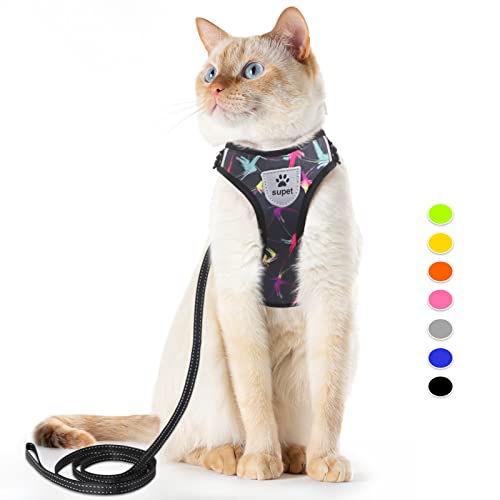 Take your feline friend for a walk: Our top 10 Cat Harnesses with ...