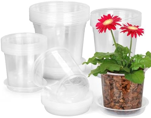 Amazon.com: GREENPARA Transparent Plastic Planter 4/5 /6 inch Plant ...