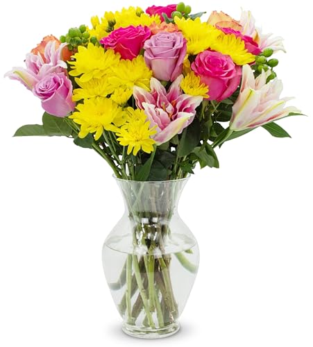 7 Best Multicolored Roses | Artisan Dyed Vs. Naturally Multi