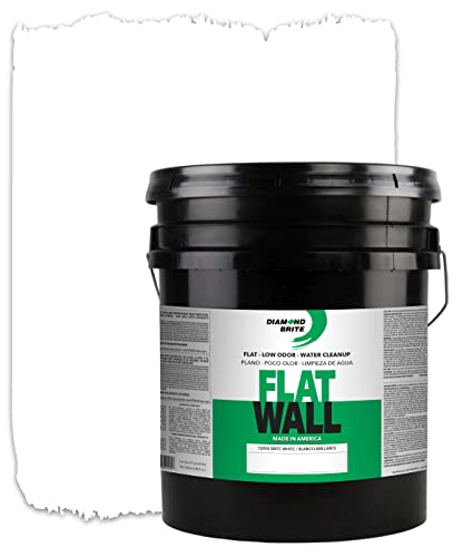 Top 10 Best 5 Gallon Primer Paint : Reviews & Buying Guide - Katynel