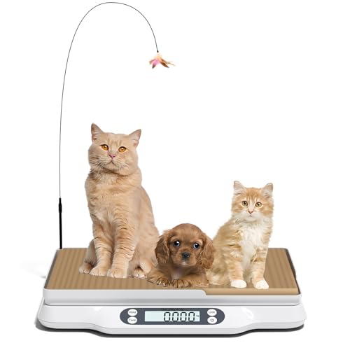 10 Best Cat Weight Scale