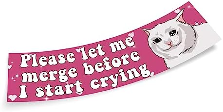 Amazon.com - Please Let Me Merge Before I Start Crying Funny Cat ...