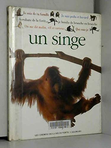 Amazon.com: QUI SUIS-JE UN SINGE: 9782070316113: unknown author: Books