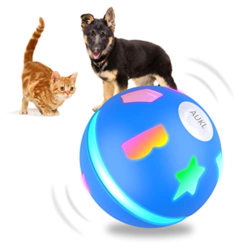 Top 10 Best Electronic Toys For Dogs : Reviews & Buying Guide - Katynel