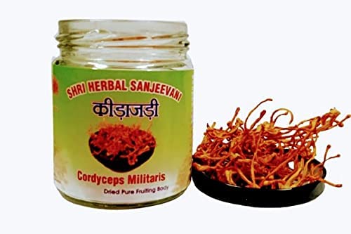 Buy Kidajadi Cordyceps militaris 15 grams Online at Low Prices in India ...