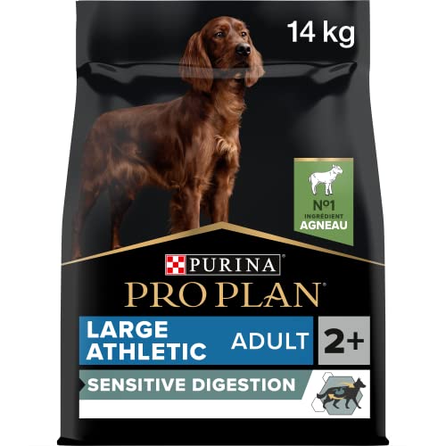 Hundefutter Pro Plan – Die 16 besten Produkte im Vergleich ...