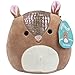 Amazon.com: Squishmallows 8" Thompson The Armadillo - Official Kellytoy Plush - Cute and Soft ...