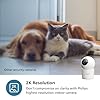 PHILIPS 3MP Wi-Fi Indoor 360 Degree Security Camera | CCTV for Home ...
