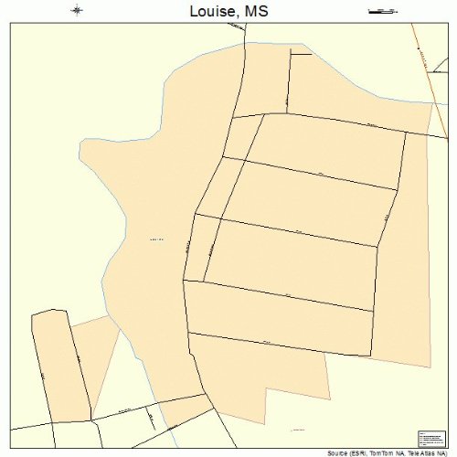 Amazon.com: Large Street & Road Map of Louise, Mississippi MS - Printed ...