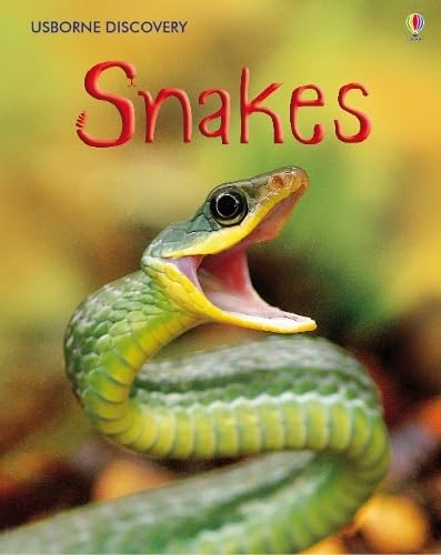Discovery Snakes: Amazon.co.uk: Sheikh-Miller, Jonathan, Firth, Rachel ...