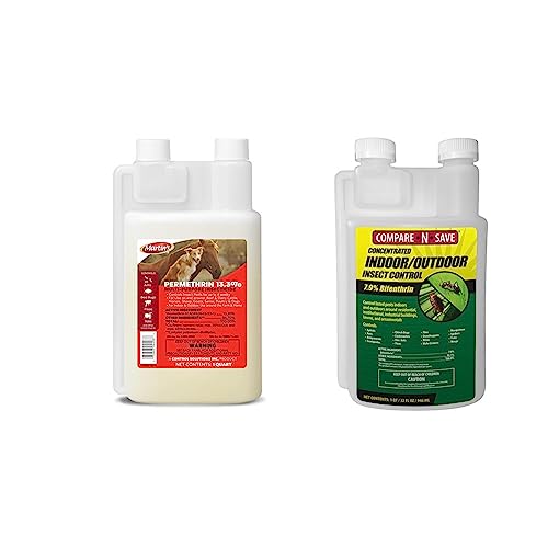 10 Must-Have Products for Job Seekers in Grand Prairie: A Comprehensive ...