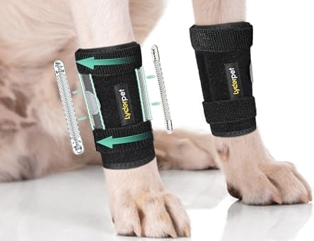 Lyderpet Dog Brace Front Leg Wrist Support, Canine Dog Carpal Brace ...