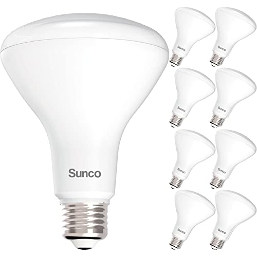 Sunco Lighting Product Guide: 15 Best Things to Buy from Sunco Lighting ...