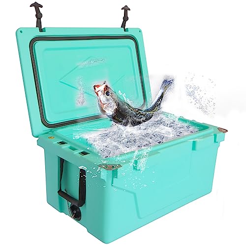 Hooked Coolers – The 15 best products compared - Your Motor Guide