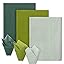 Amazon.com: Whaline 90 Sheet Sage Gradient Green and Ivory Tissue Paper ...