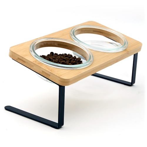 Elevated Cat Bowls – The 15 best products compared - Wild Explained