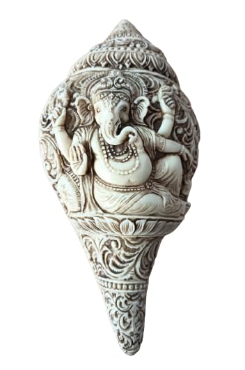 Shankh Ganesh for Pooja Original (1.1kg) : Amazon.in: Home & Kitchen