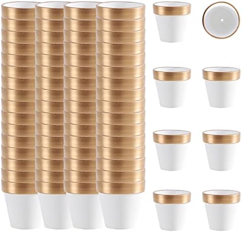 Amazon.com: 72 Pcs Small Mini Clay Pots - 2'' Terracotta Pot Ceramic ...