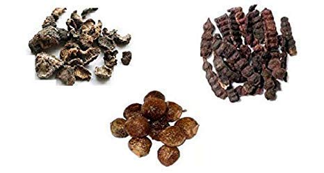 Raintech Herbal Combo of Natural Whole Dried Amla, Ritha, and Shikakai ...