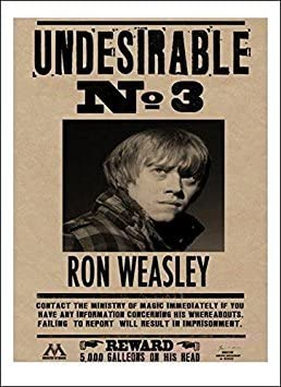 Undesirable No 2