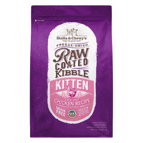 Best Kibble for Kittens: Choosing the Purrfect Nutrition for Your ...