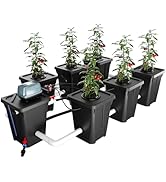 Amazon.com : RDWC Hydroponics Grow System 6 Site + Reservoir, 7-Gallon ...