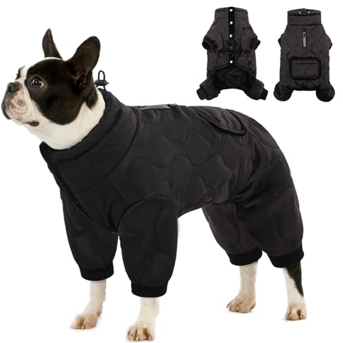 Traje de nieve para perros: los 15 mejores productos comparados - Wild Explicado