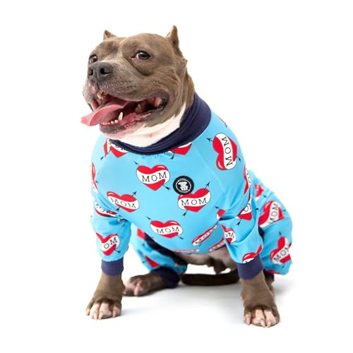 Clothes for Pitbulls – The 15 best products compared - Wild Explained