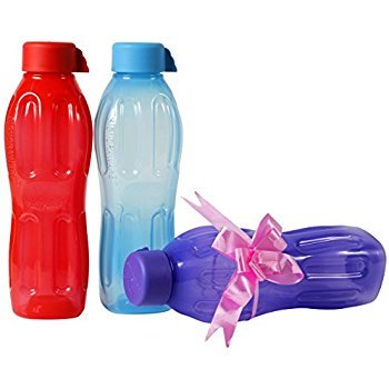 Buy Signoraware Aqua Fresh Water Bottle Set, 500ml, Assorted Color (Buy ...