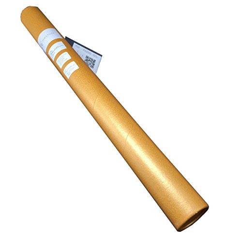 Amazon.com: INKSTON 1603 Xuan Paper (10 sheets plus one 3338 Xuan Paper ...