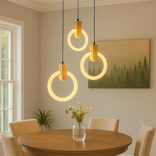 Lampmaster Double 3-Ring LED Pendant Light | Modern Hanging Ceiling ...