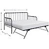 Amazon.com: Lexicon Constance Metal Daybed with Trundle in Navy Blue ...