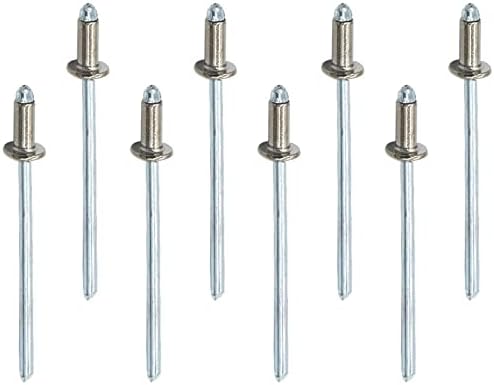 Amazon.com: Piutouyar 100Pcs 1/8" x 1/4" Stainless Steel Pop Rivets ...