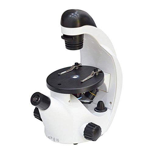 Los 5 Mejores Microscopios Invertidos: Comparativa de Características y ...