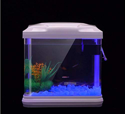 5 Glow In The Dark Aquarium Decorations To Brighten Your Tank! | TFCG