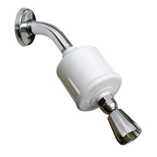 Rainshow'r RS-502-DS Dechlorinating Shower Filter with Fixed-Action ...