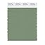 PANTONE Smart 16-6008X Color Swatch Card, Seagrass - House Paint ...