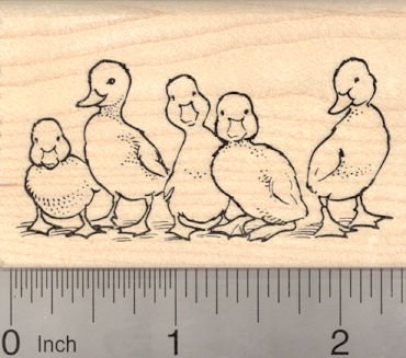 Amazon.com: Row of Ducklings, Duck Rubber Stamp : Arts, Crafts & Sewing