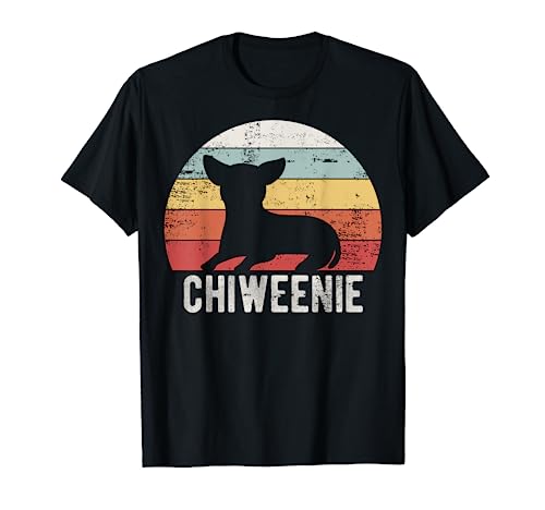 Adorable Chiweenie Pictures and Top 10 Must-Have Products for Your ...