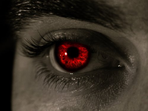 Amazon.com: Salvation (Liberty Alexander Book 1) eBook : Morin ...