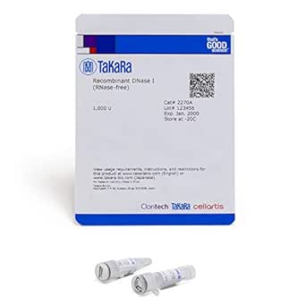 Amazon.com: Recombinant DNase I (RNase-Free), (Takara Bio Cat. No. 2270A) : Industrial & Scientific