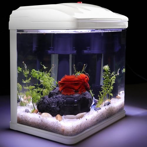 Find The Best Fish Tank For Beginners Reviews & Comparison - Katynel