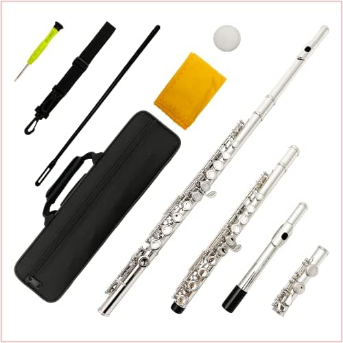 Eastar C Flutes Closed Hole 16 Keys Flute for Beginner Kids Student ...