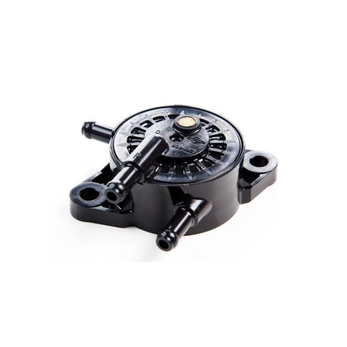 Buy Briggs and Stratton Genuine 808656 Fuel Pump by Briggs & Stratton ...