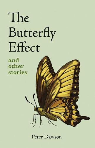 Buy The Butterfly Effect Book Online at Low Prices in India | The ...